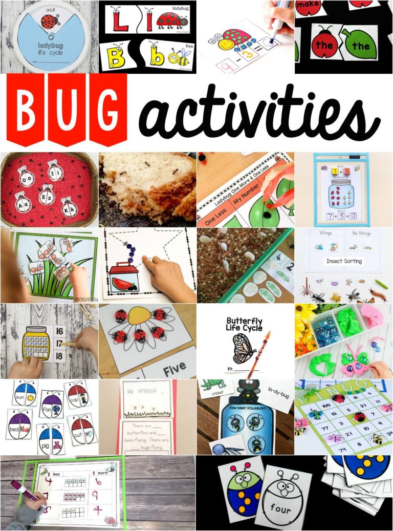 CVC Bugs Matching Game